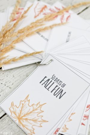 30 Days of Fall Fun Free Printable - Tidbits