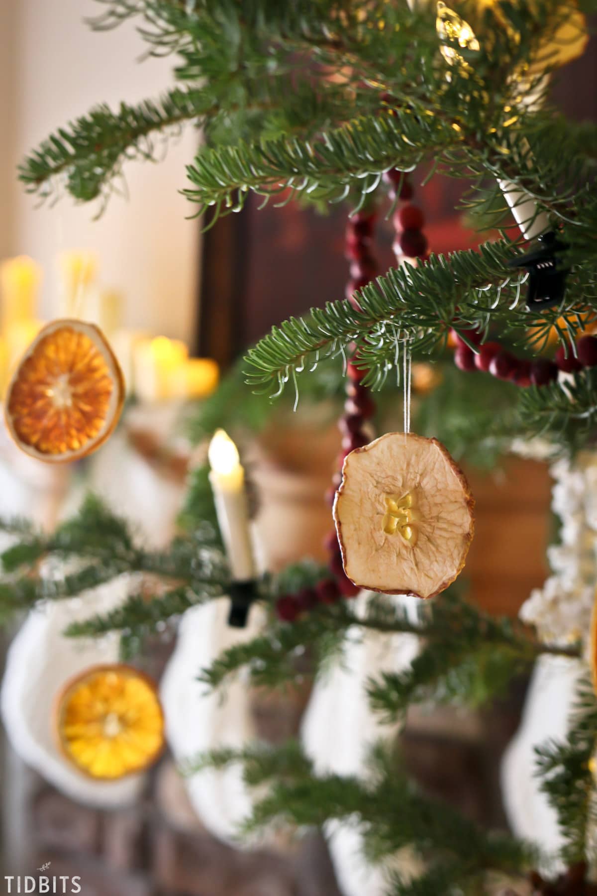 Natural Christmas Decorations Tidbits Natural Christmas Decorations Tidbits