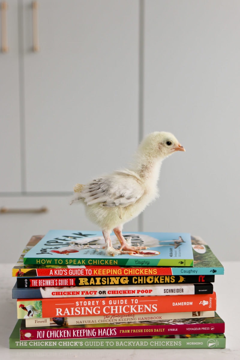 Best 8 Books on Raising Backyard Chickens | Open Book Reviews - Tidbits