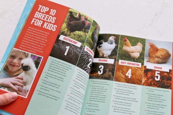 Best 8 Books on Raising Backyard Chickens | Open Book Reviews - Tidbits