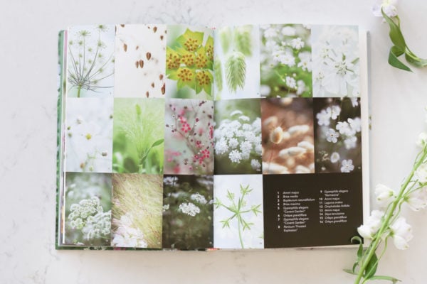 Look Inside these 7 Books on Growing Flower Gardens - Tidbits