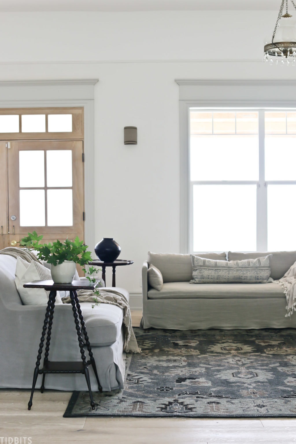 Living Room Updates | Couches and Rug - Tidbits