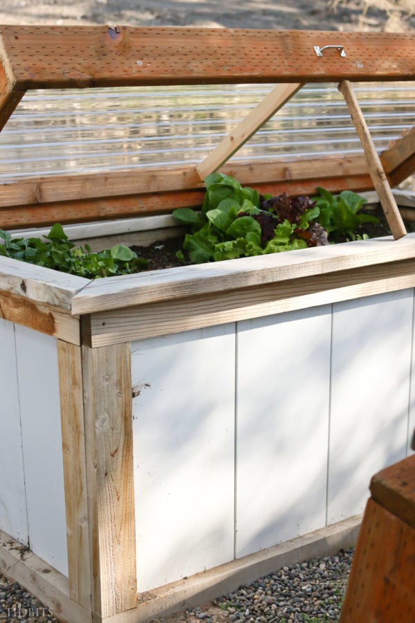 How to Build a Cold Frame to Grow Vegetables in the Winter - Tidbits