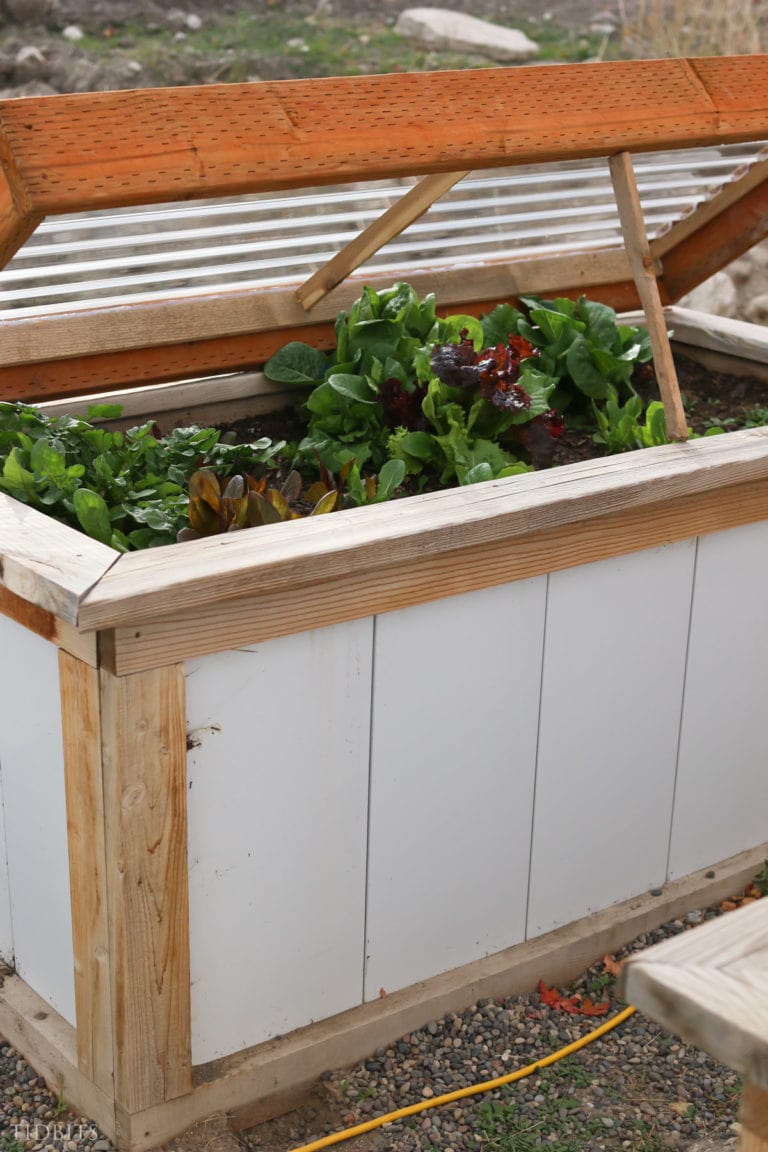 How to Build a Cold Frame to Grow Vegetables in the Winter - Tidbits