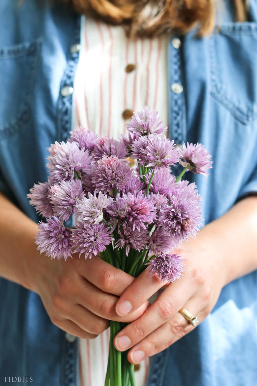 Make Your Own Chive Blossom Vinegar - Tidbits