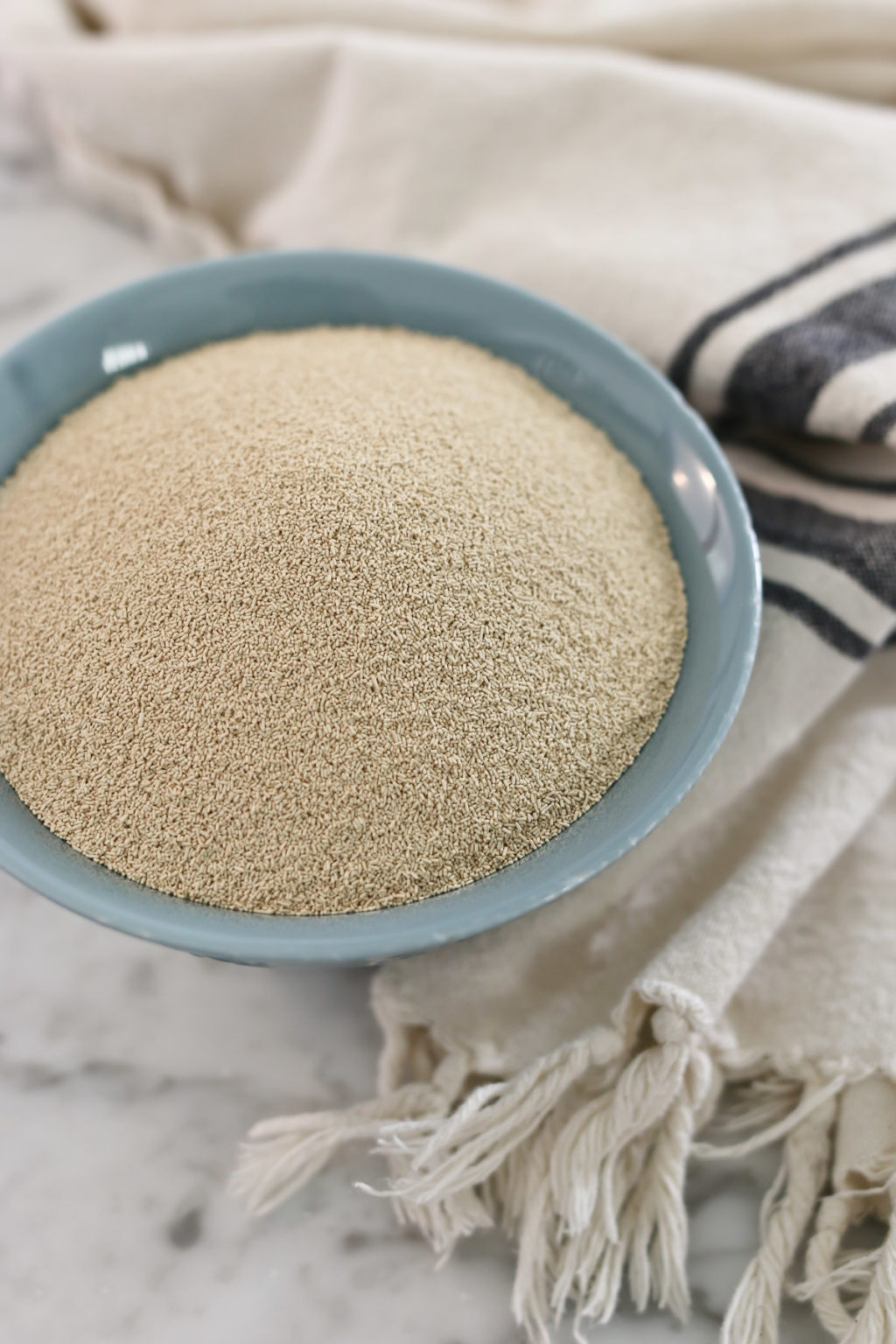 How to Choose the Best Yeast for Bread Making - Tidbits